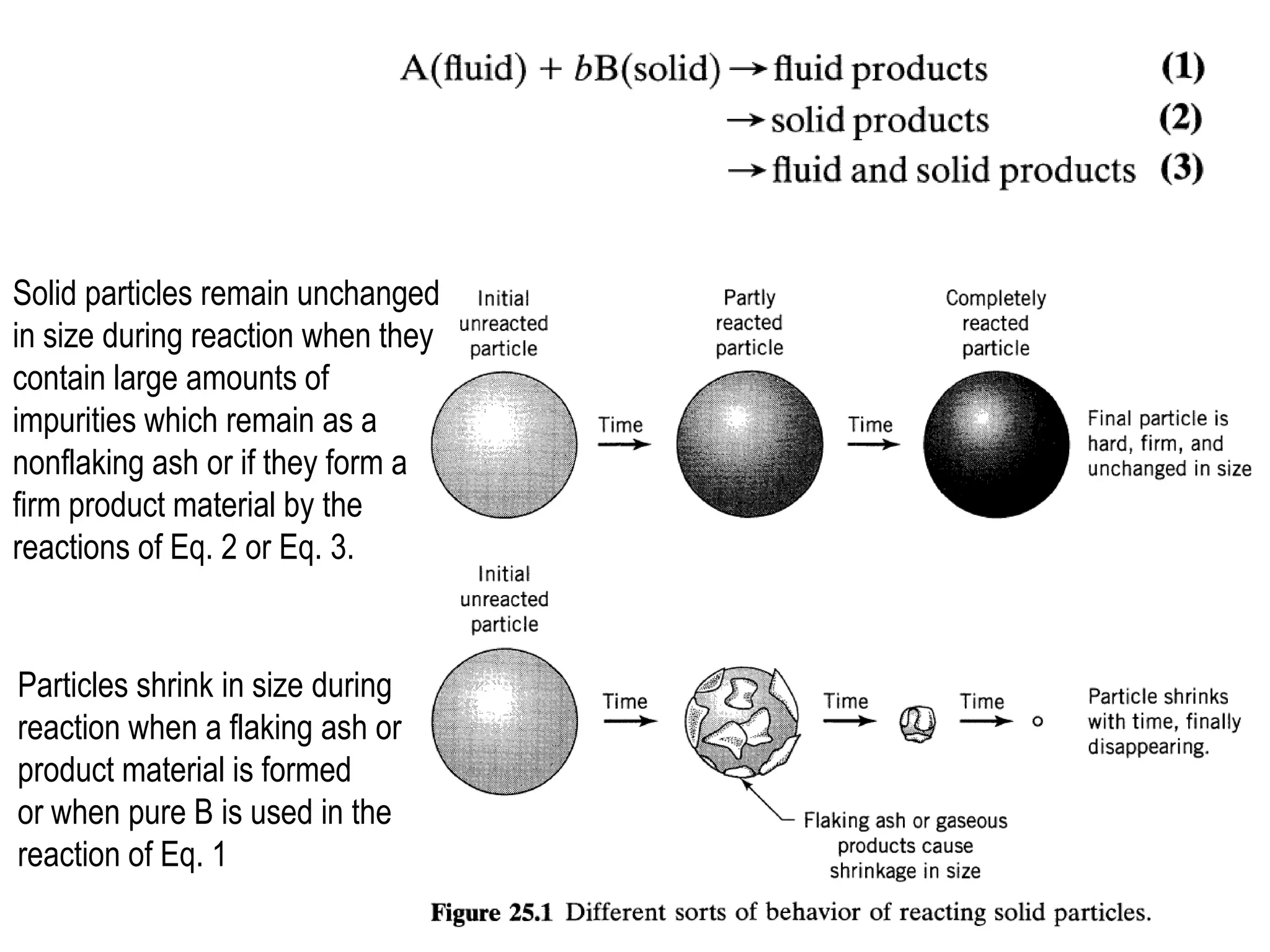 Fluid-Particle Reaction PPT.pdf