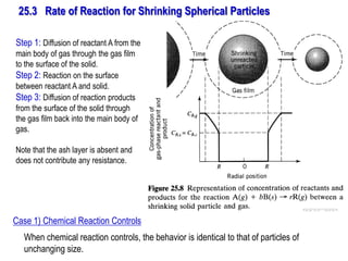 Fluid-Particle Reaction PPT.pdf