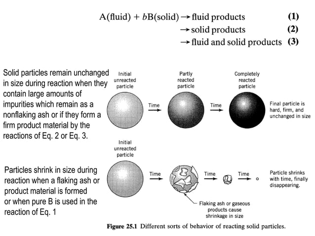 Fluid-Particle Reaction PPT.pdf