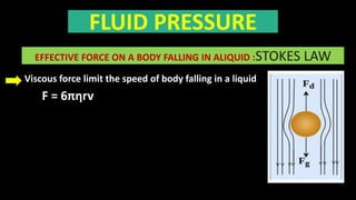 fluid 11.pptx | physics fluid the science hub | PPT