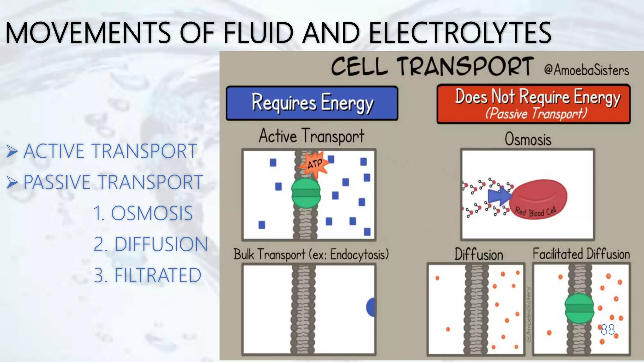 Fluid and electrolytes | PPT