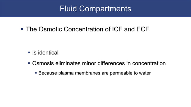FLUID AND ELECTROLYTE.pptELECTROLYTE.pptFLUID AND ELECTROLYTE | PPT