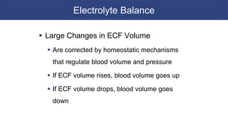 FLUID AND ELECTROLYTE.pptELECTROLYTE.pptFLUID AND ELECTROLYTE | PPT