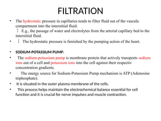 fluid and electrolyte.pptx for gnm 1`yrs | PPT