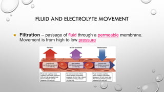 Fluid and electrolyte nursing lecture bsn | PDF