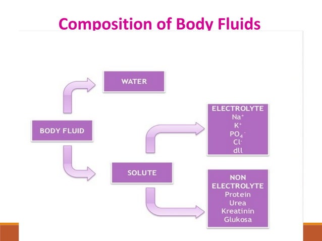 Fluid and electrolyte balance | PPT | Lung and Respiratory Health ...