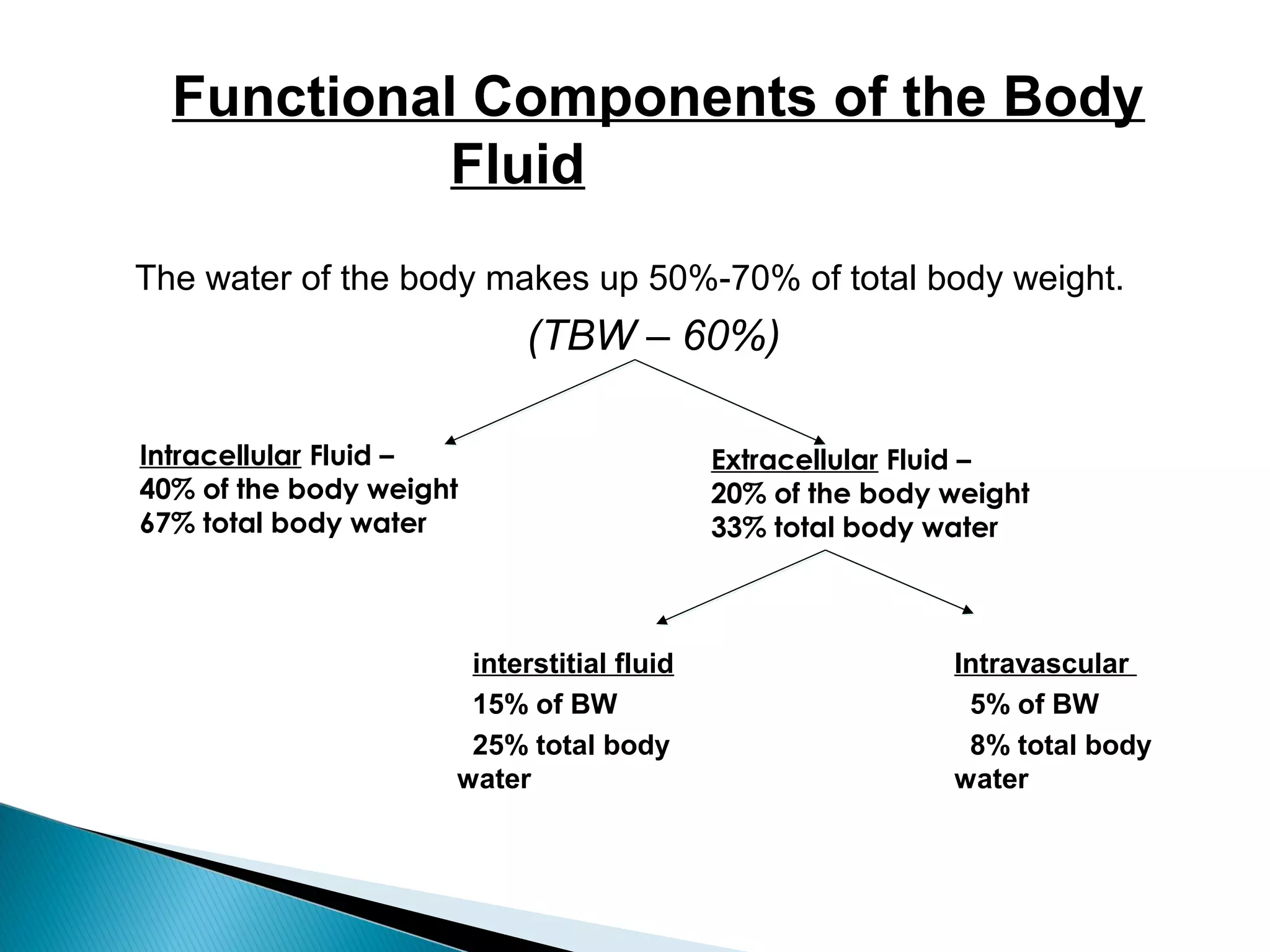 Fluid and electrolyte balance | PPT