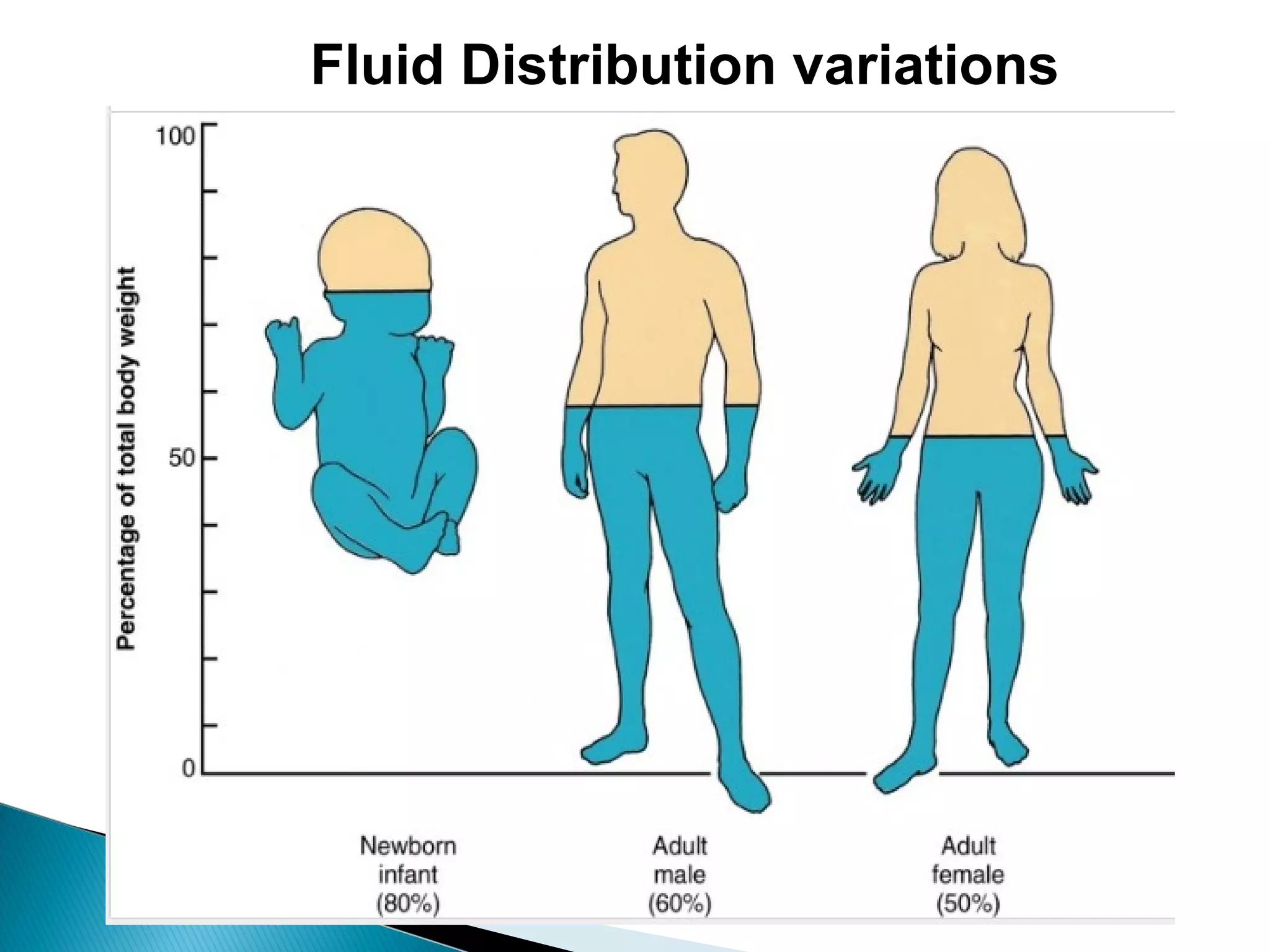 Fluid and electrolyte balance | PPT