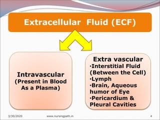 Fluid and electrolyte balance | PDF