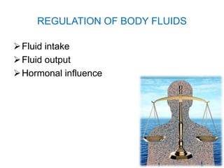 Fluid andelectrolyte balance | PPTX