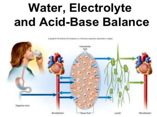 Fluid andelectrolyte balance | PPTX