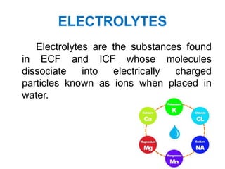 Fluid andelectrolyte balance | PPTX