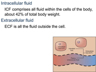 Fluid andelectrolyte balance | PPTX
