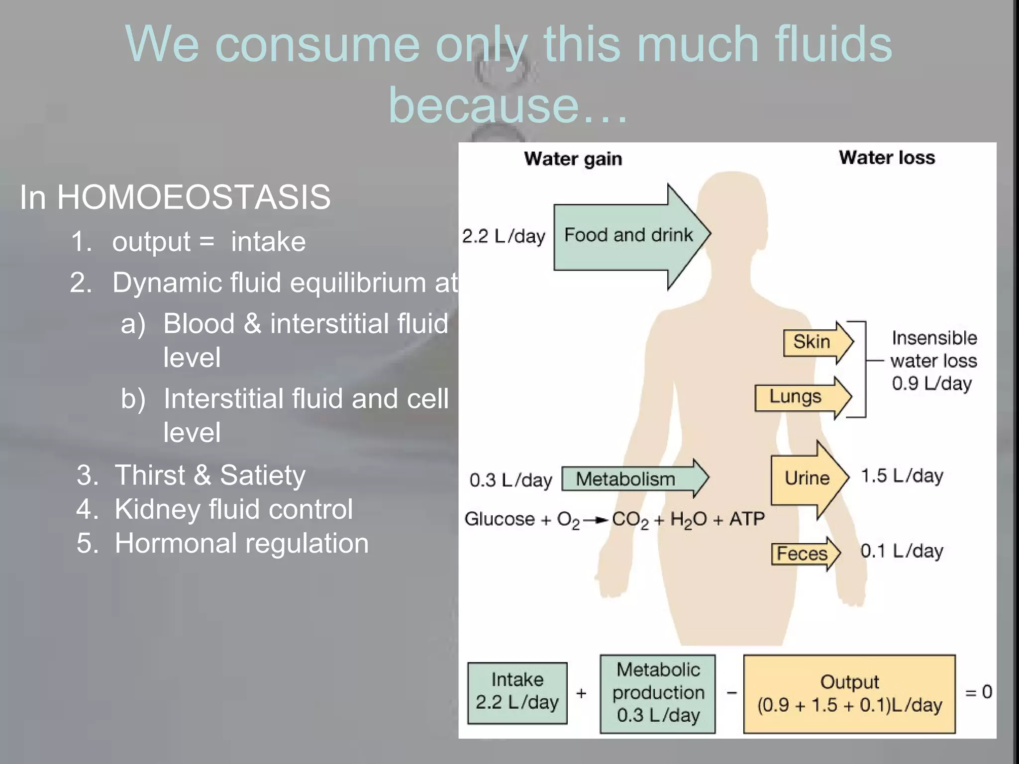Fluid and electrolyte balance ih | PPT