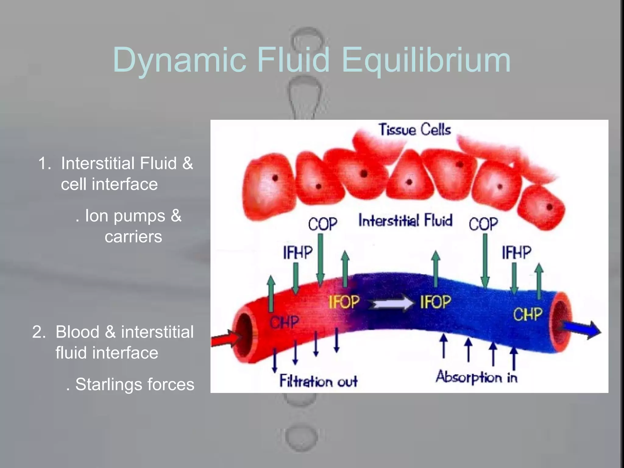 Fluid and electrolyte balance ih | PPT