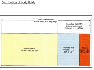 Fluid and electrolyte balance | PPTX
