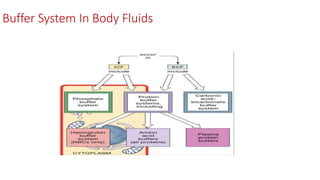 Fluid And electrolyte Balance FINAL .pptx
