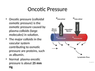 Fluid and electrolyte imbalance sign and symptoms management .pptx