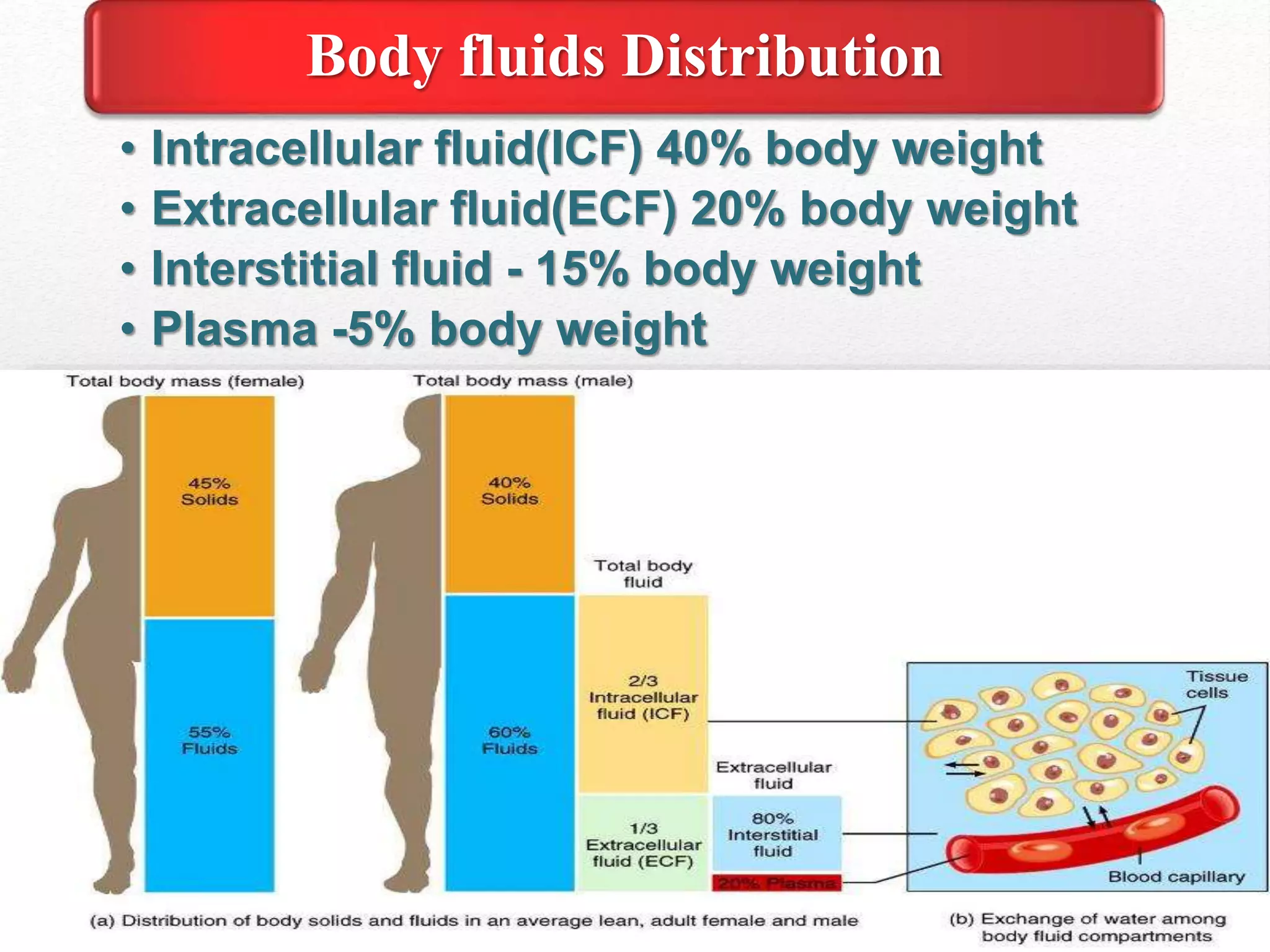 Fluid and electrolyte imbalance | PPTX