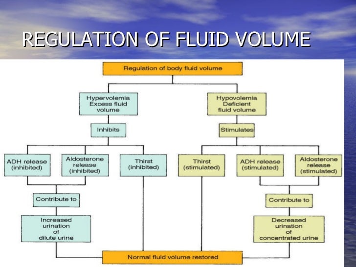 Fluid And Electrolytes
