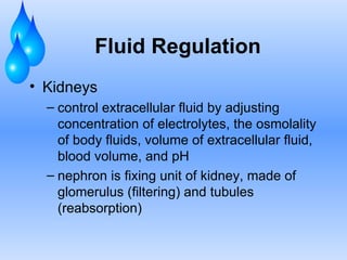 Fluid And Electrolytes | PPT