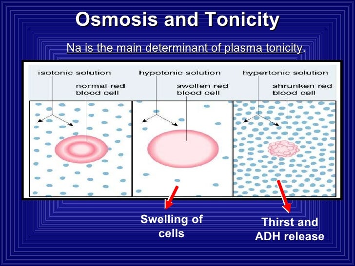 Fluid And Electrolytes1