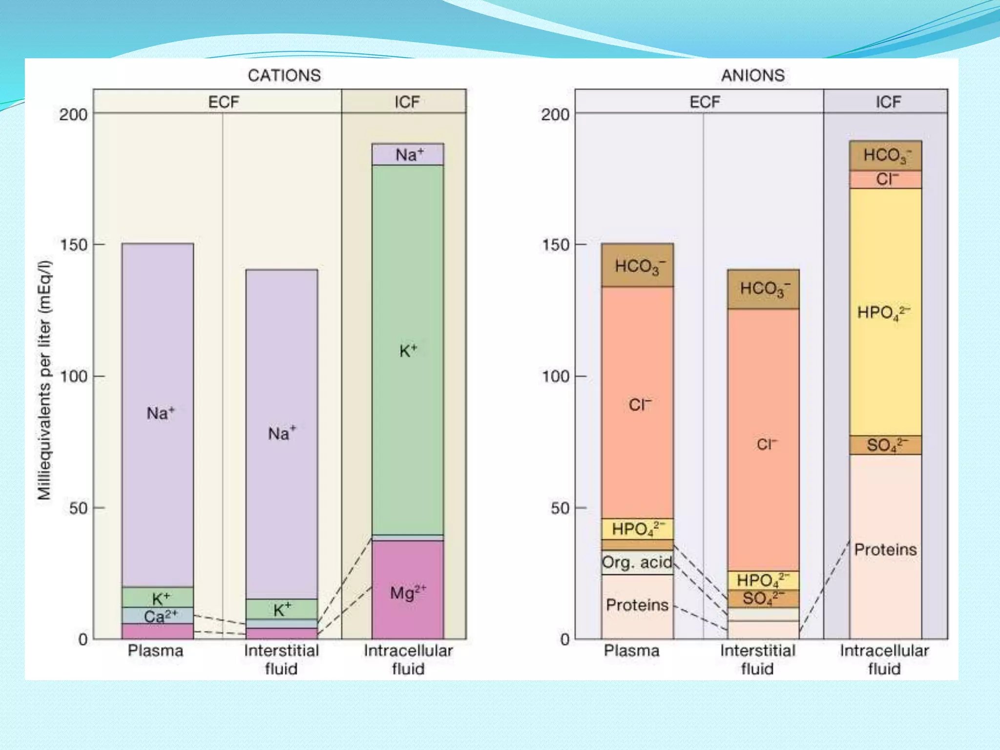 Fluid and electrolytes | PPTX
