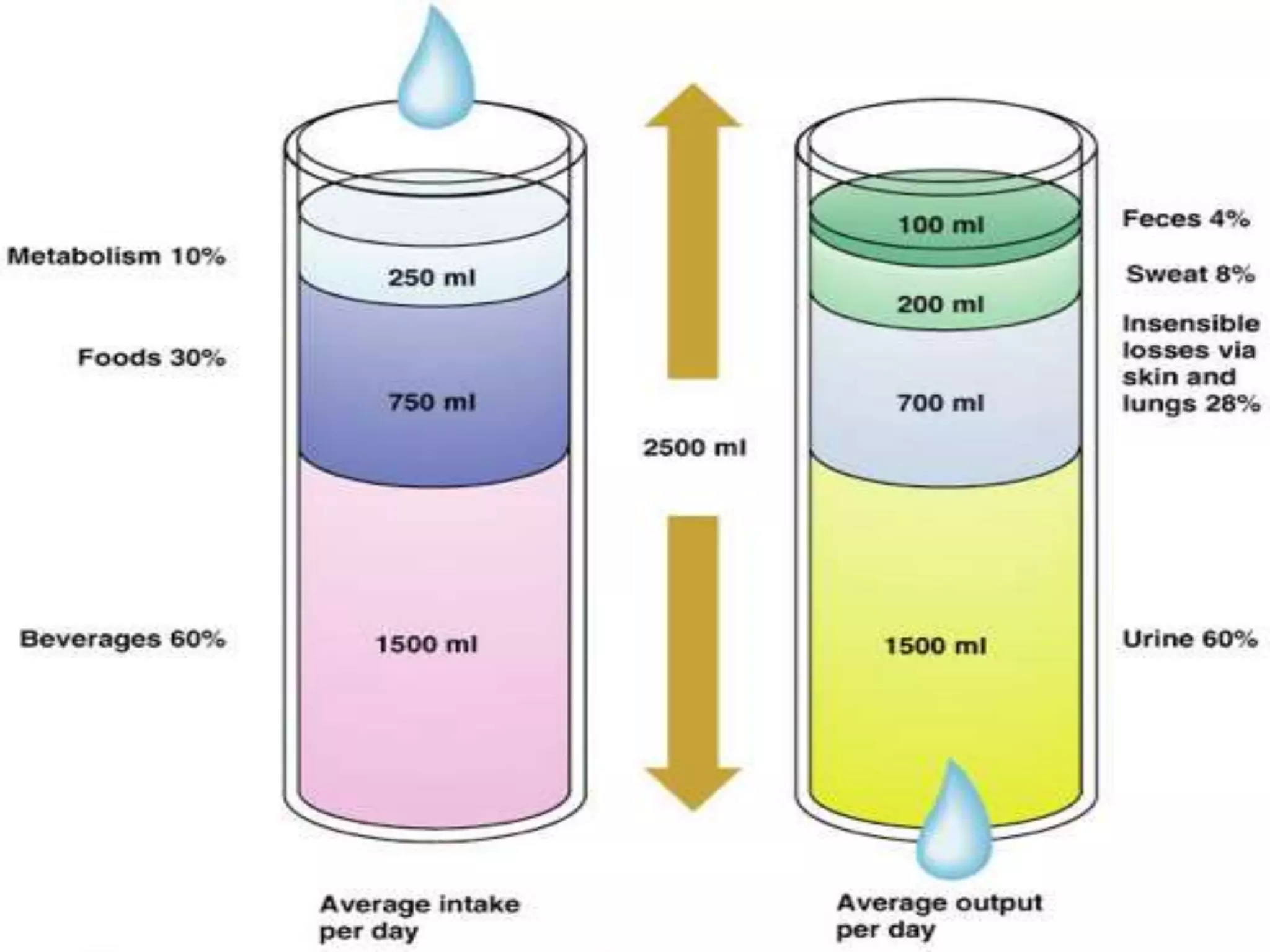 Fluid and electrolytes | PPTX