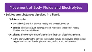 fluid and electrolytes for nursing students 2023.PPTX