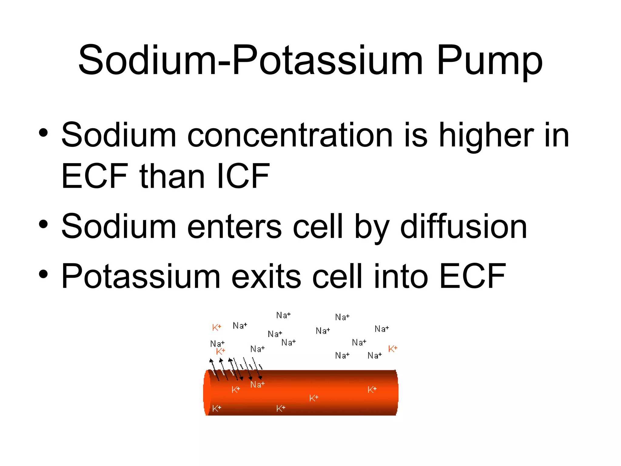 Fluid and electrolytes, balance and disturbances (1) | PPT