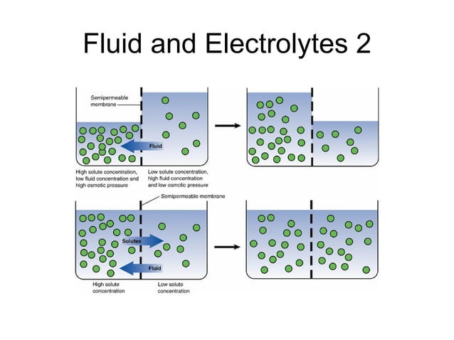 Fluid and electrolytes, balance and disturbances (1) | PPT