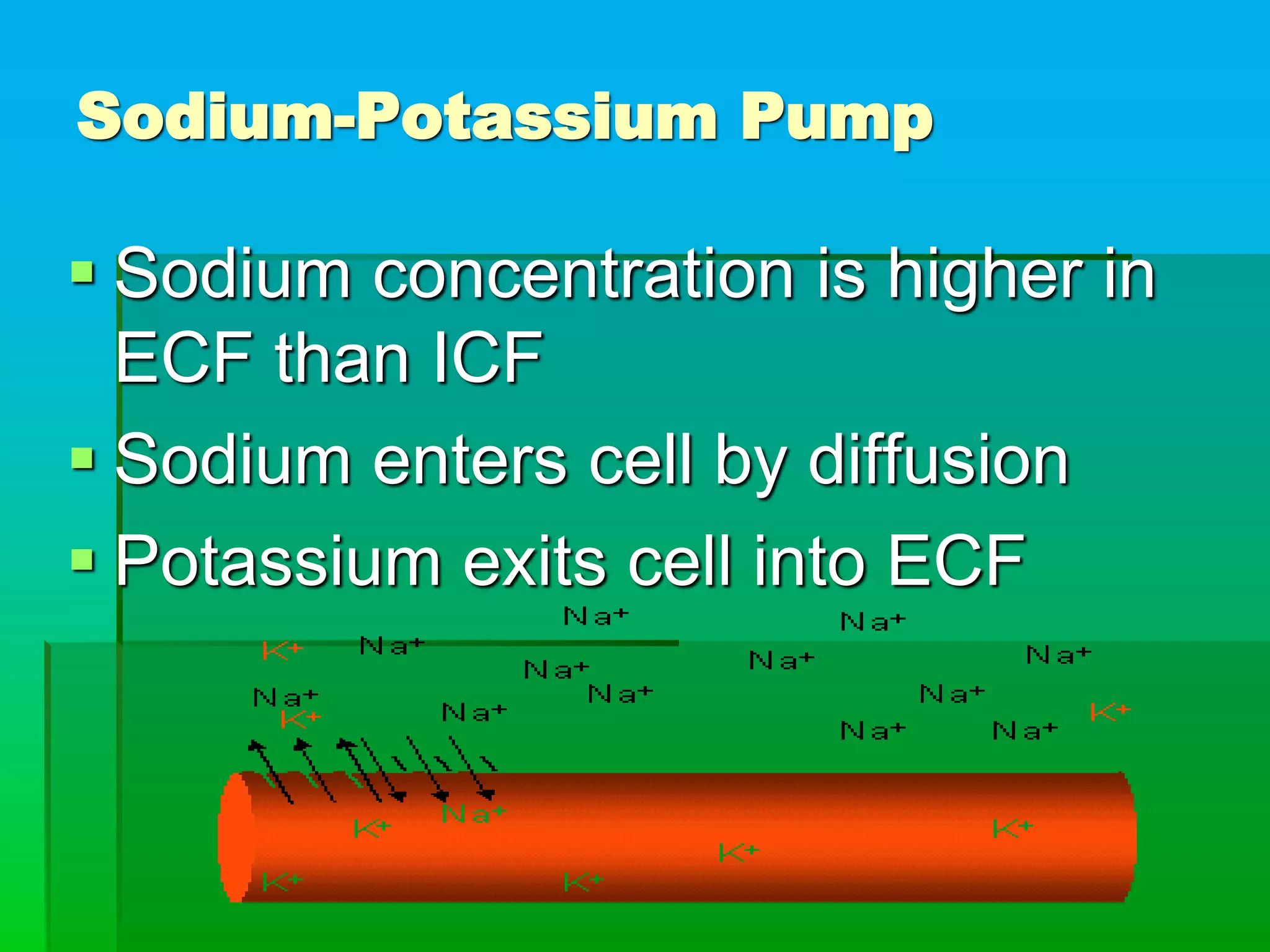 Fluid and electrolytes, balance and disturbances ppt | PPT
