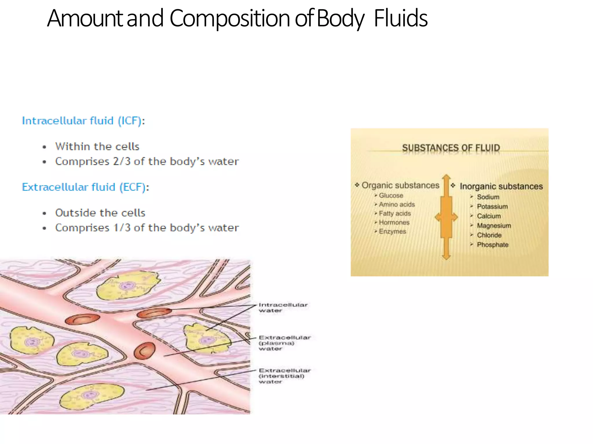 Fluid and Electrolyt imbalance.pptx