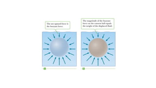 Fluid and external forces.pptx