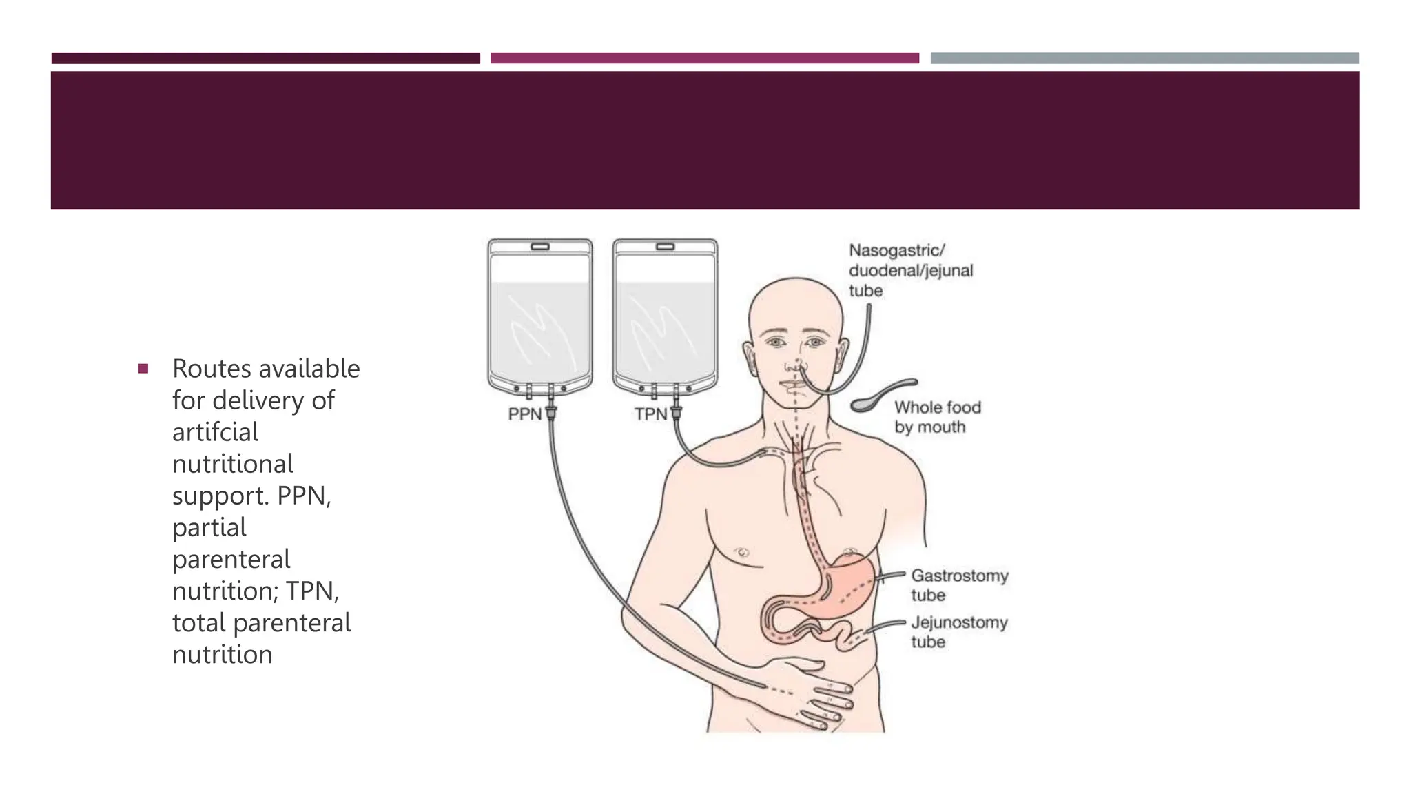 Fluid and Nutrition and its importance.pptx