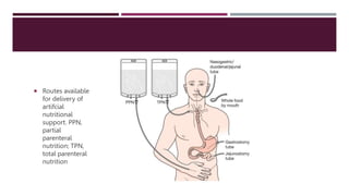 Fluid and Nutrition and its importance.pptx