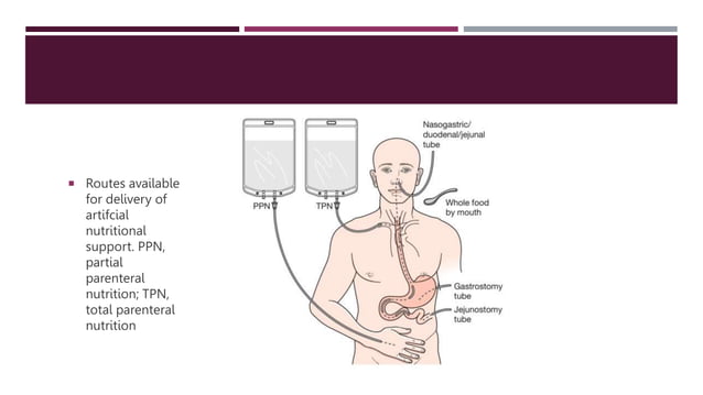 Fluid and Nutrition and its importance.pptx