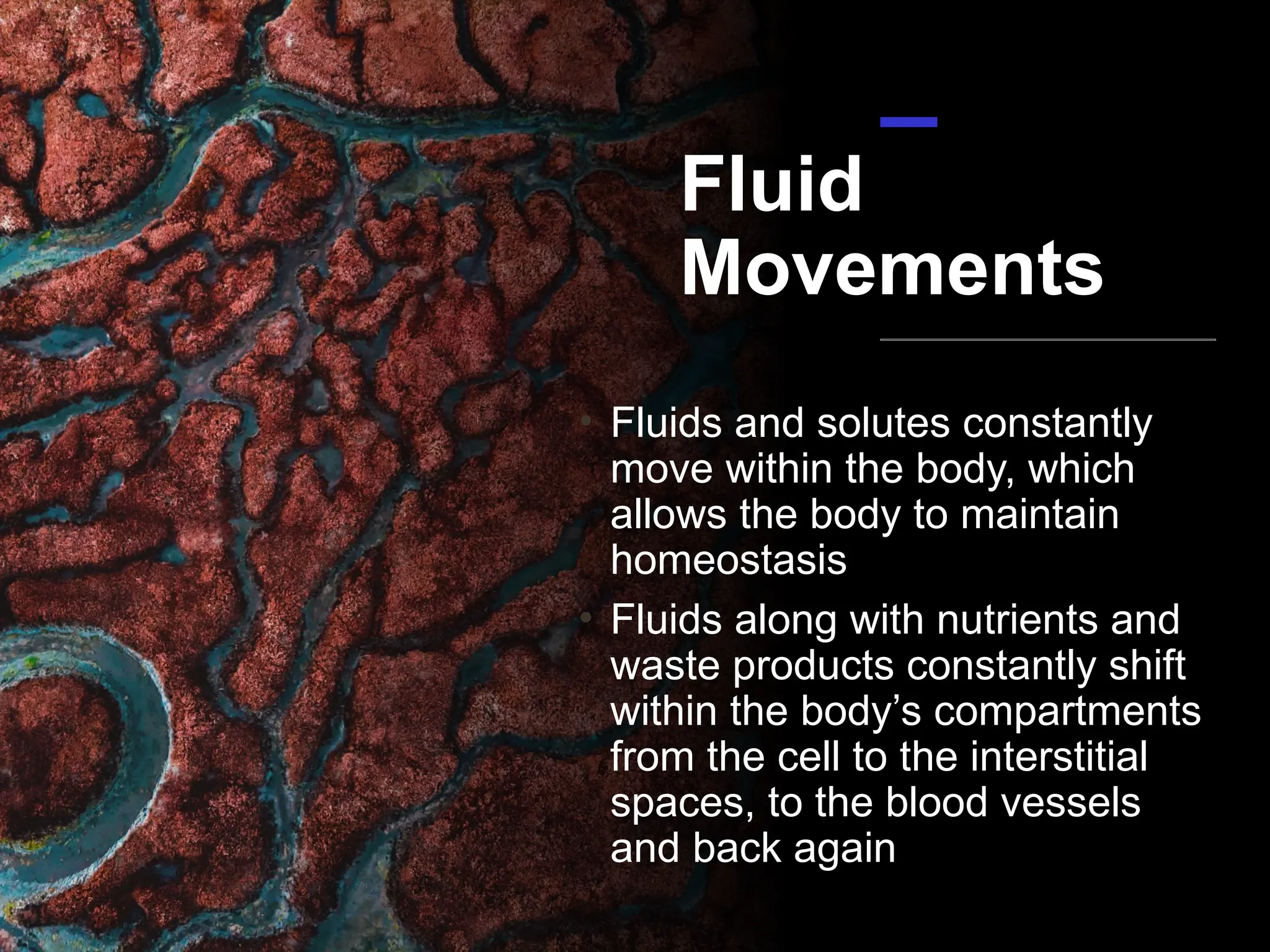 FLUID AN ELECTROLYTES (UPDATED COPY) .pptx
