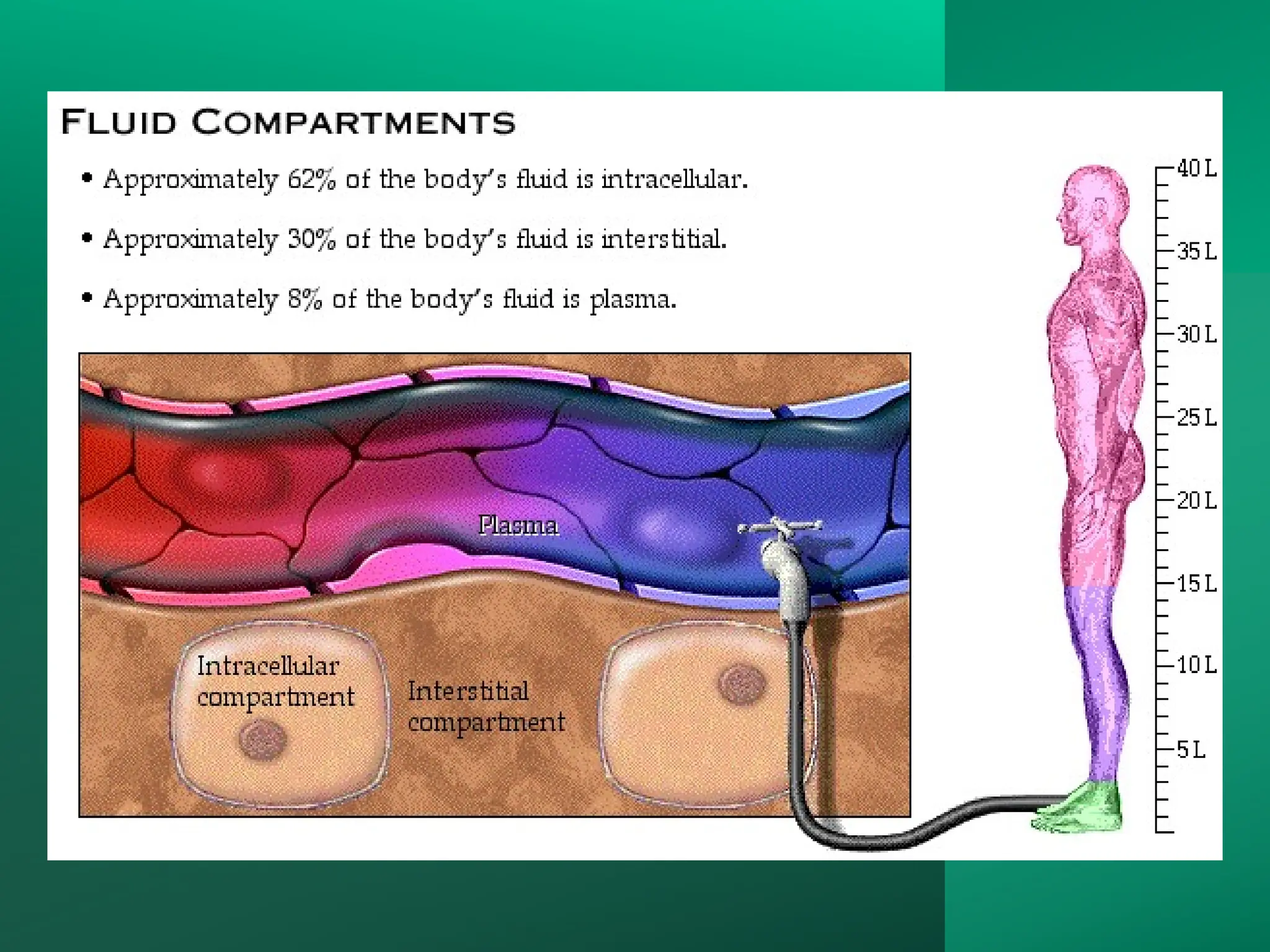 FLUID AN ELECTROLYTES (UPDATED COPY) .pptx