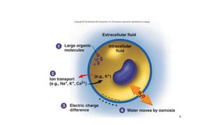 Fluid balance.pptx