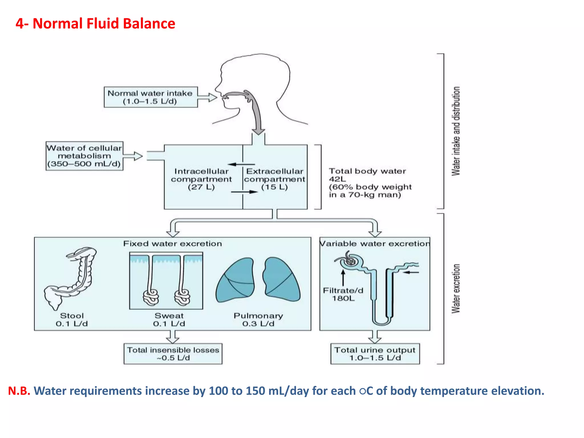 Fluid balance for surgical patients. Dr. Ahmed khashaba, MD | PPTX