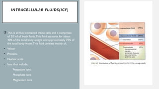 FLUID COMPARTEMENTS year one students.pptx