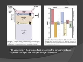 Fluid Distribution & Excretion.pptx