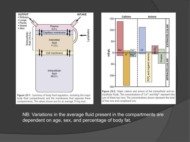 Fluid Distribution & Excretion.pptx