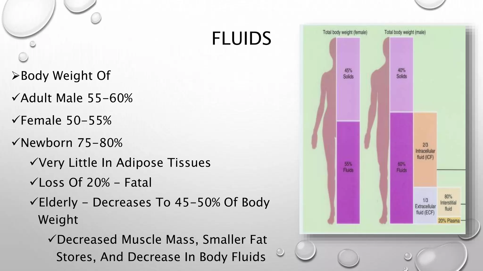 Fluid & electroli | PPT
