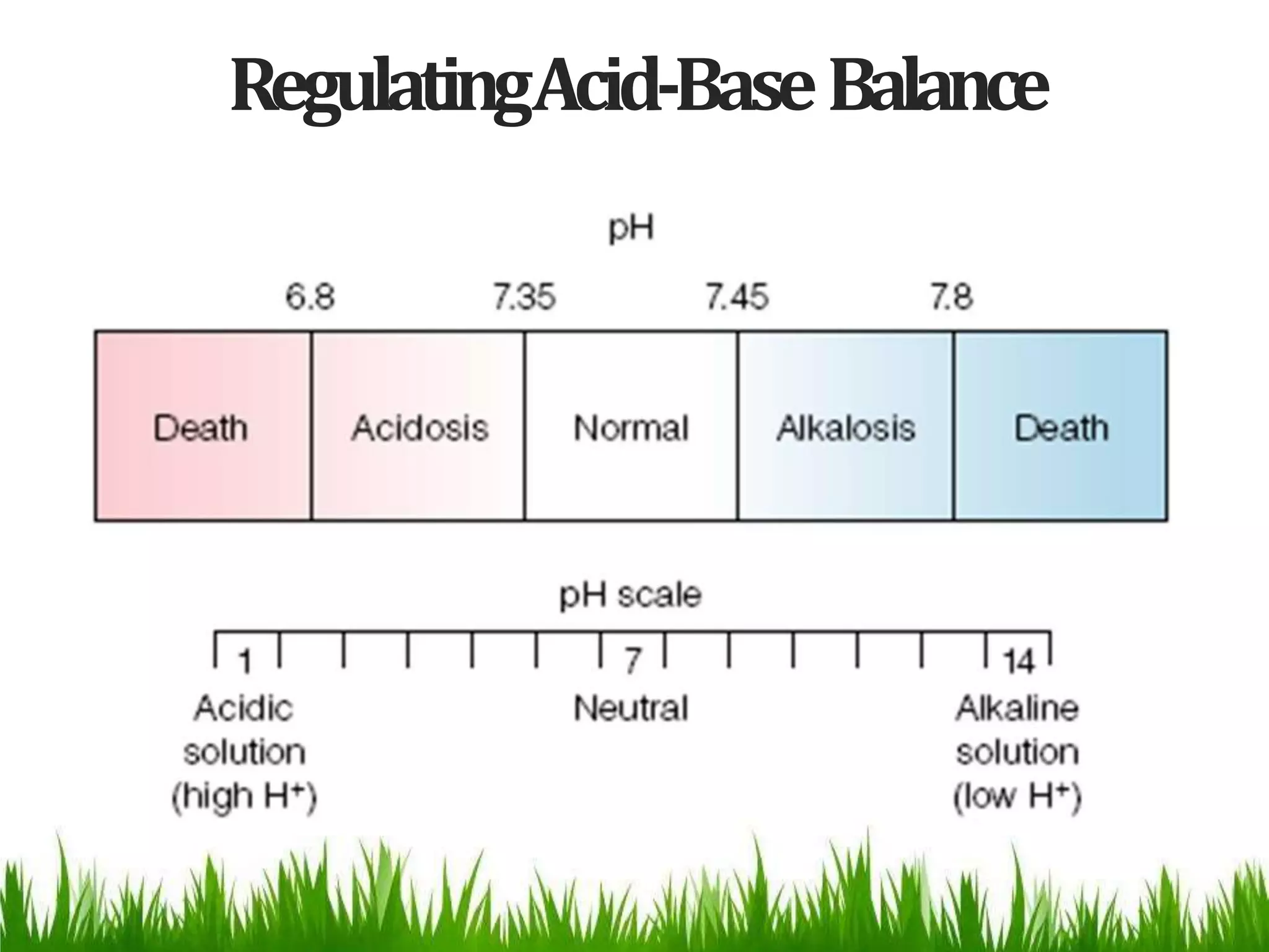 Fluid,electrolyte, acid base balance and homeostasis | PPTX