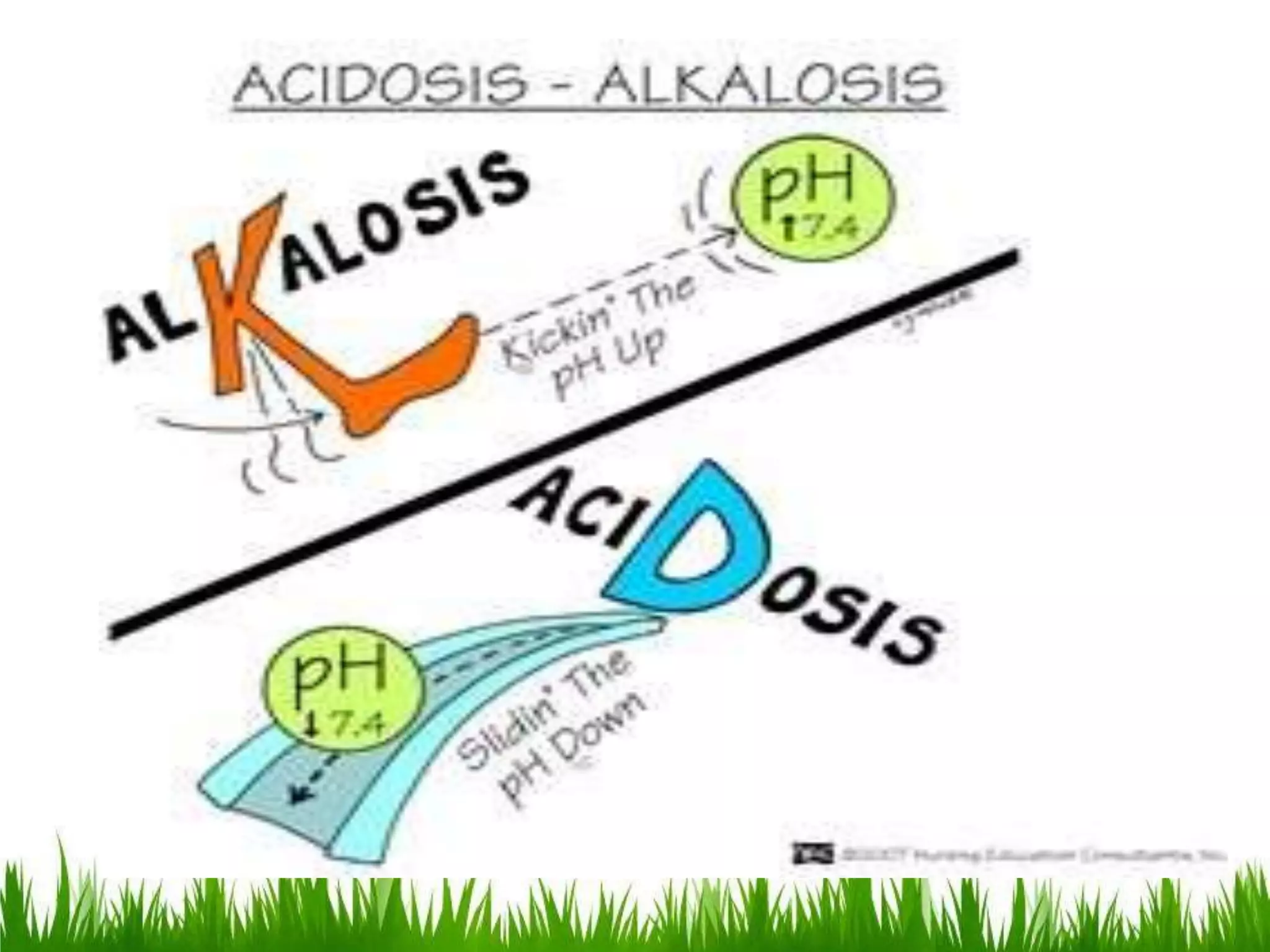 Fluid,electrolyte, acid base balance and homeostasis | PPTX