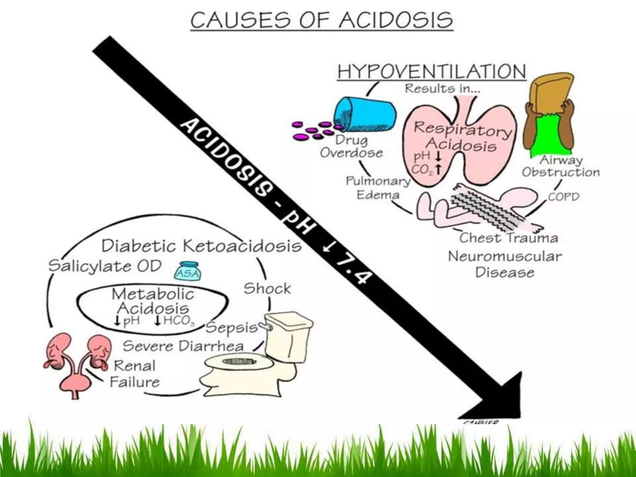 Fluid,electrolyte, acid base balance and homeostasis | PPTX