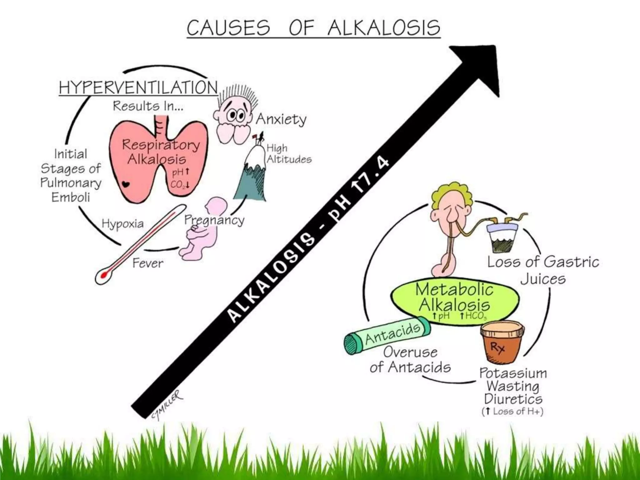 Fluid,electrolyte, acid base balance and homeostasis | PPTX