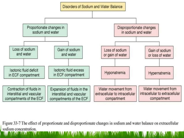 Fluid,electrolyte, acid base balance and homeostasis | PPTX | Digestive ...